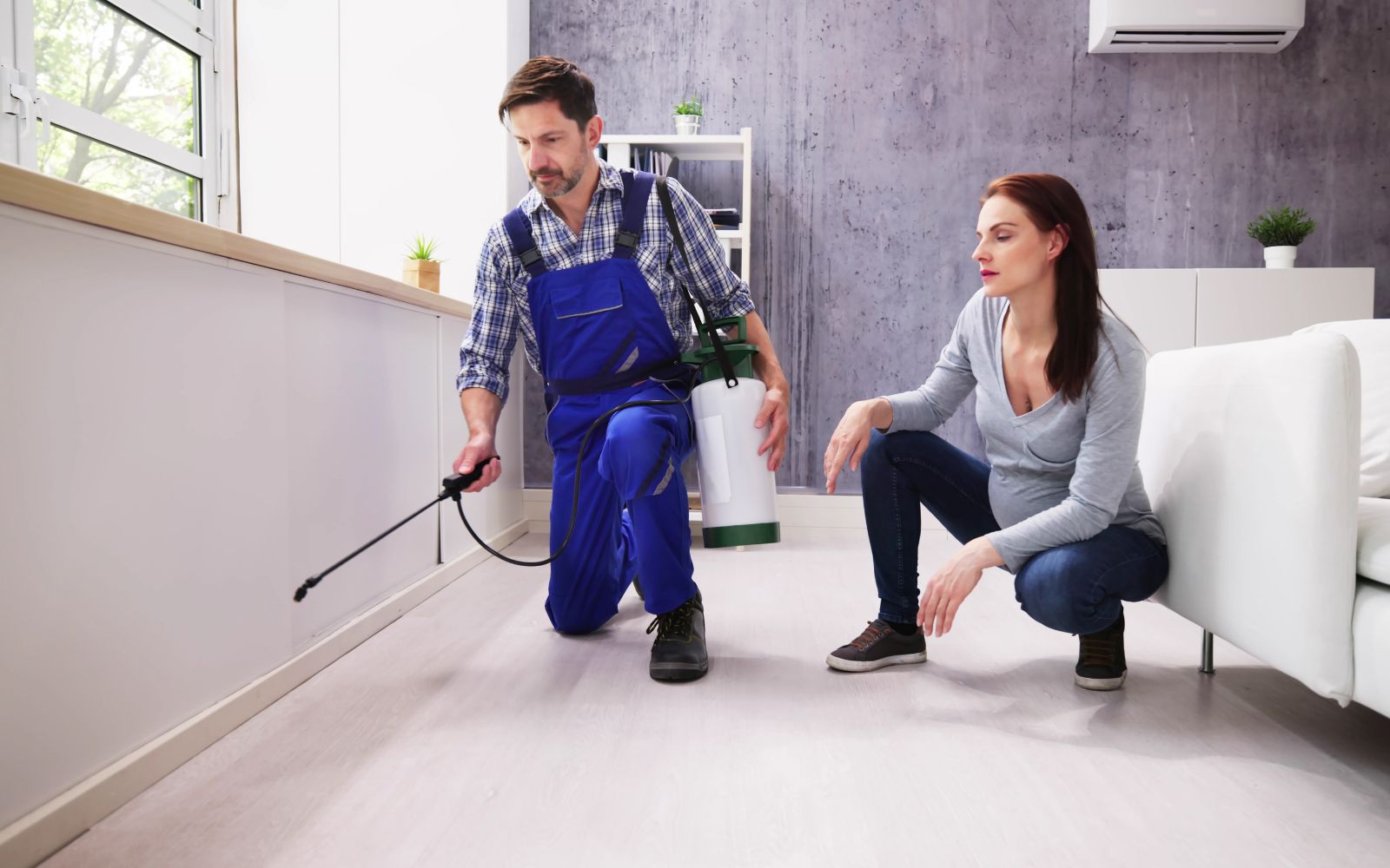 Ultimate Guide To Effective Pest Control Solutions - Blogger Diary
